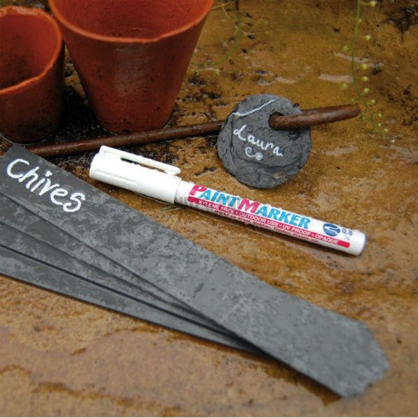 Nutscene® Slate Plant Labels