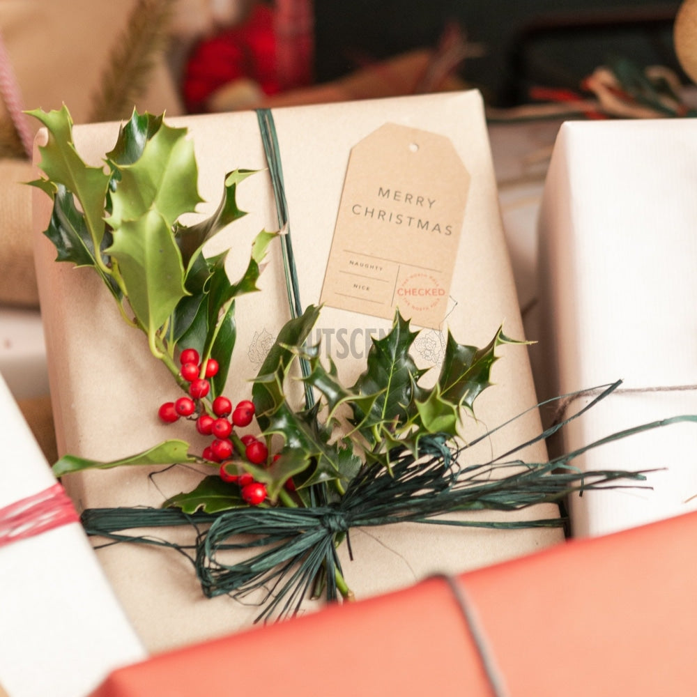 Nutscene® Twine & Raffia Gift Wrap Bundles